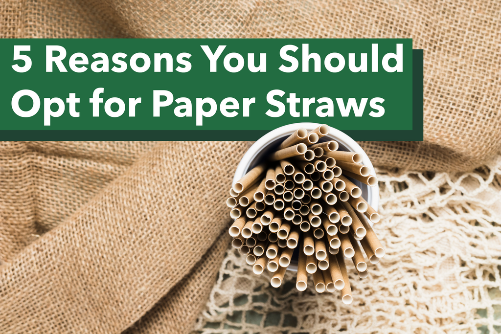5 Reasons You Should Opt for Paper Straws – Eco Friendly Supplies