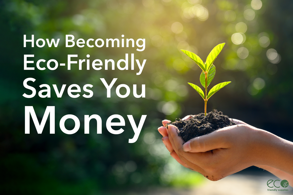 How Becoming Eco-Friendly Saves You Money – Eco Friendly Supplies