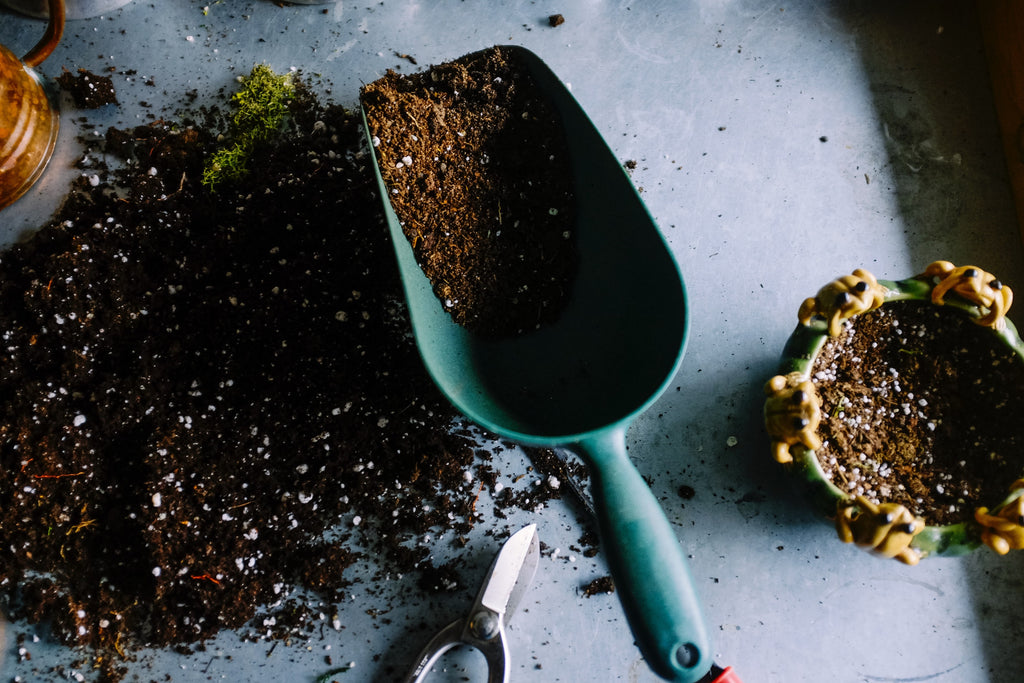 How to Compost in Your Restaurant – Eco Friendly Supplies
